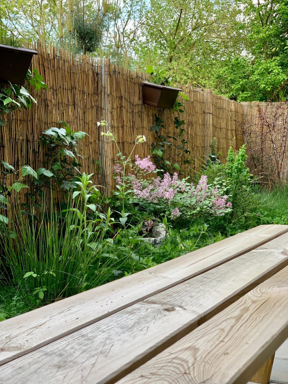 Apartamente cu grădini proprii: noua modalitate de a locui la bloc ca ...